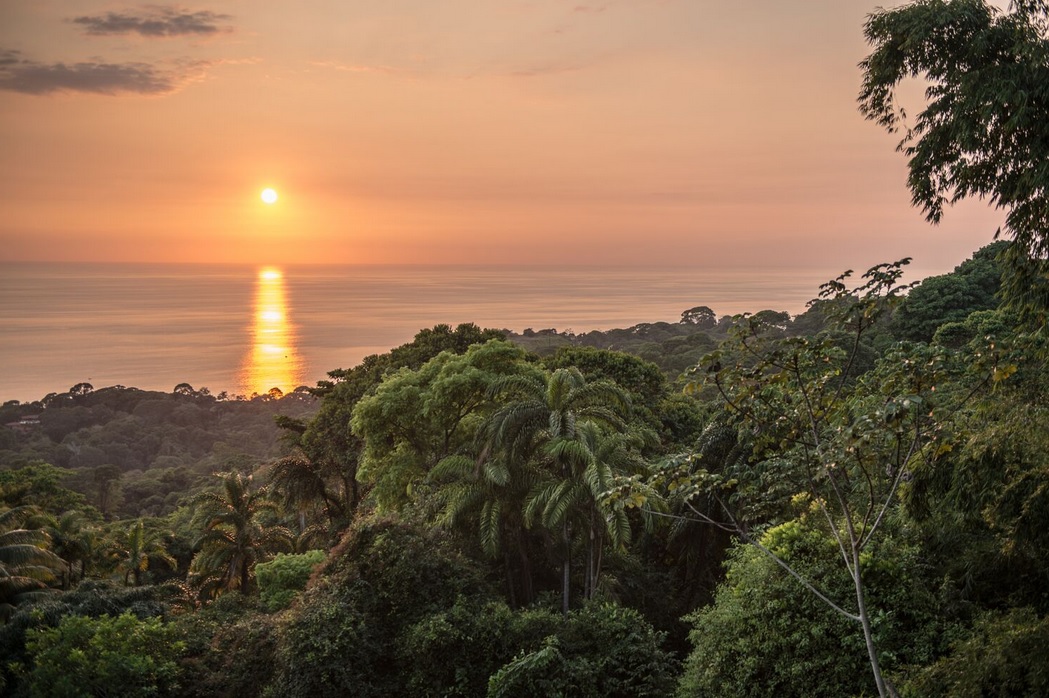 Immersive Photography in Coastal Costa Rica - Toucanmoon