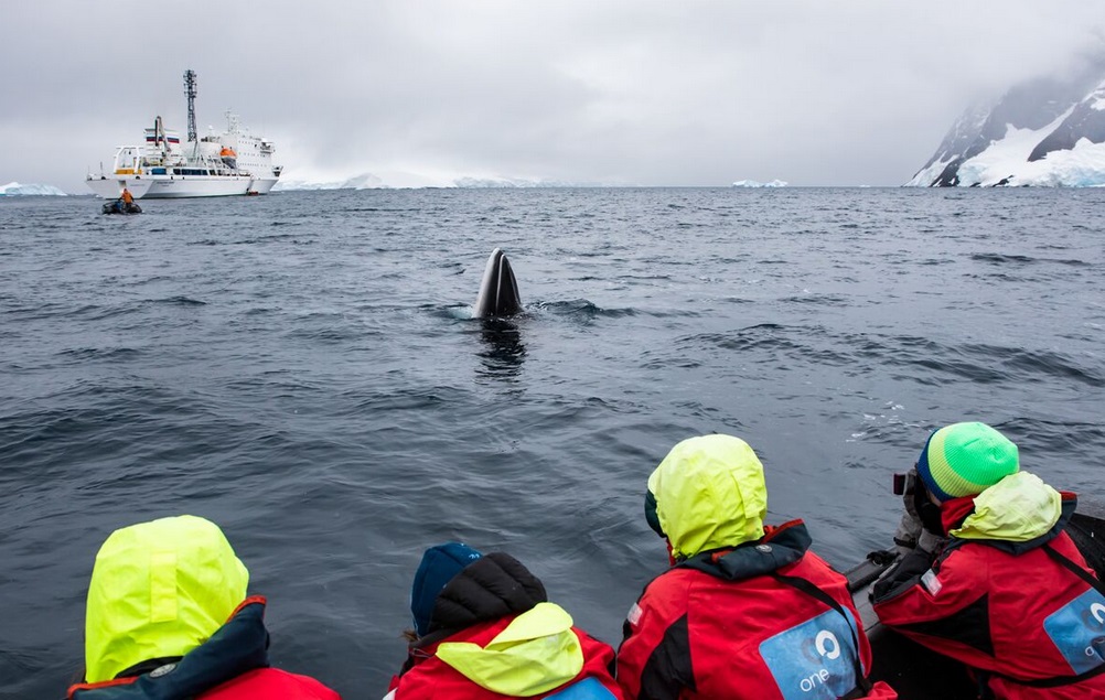 World Premiere of Documentary Filmed in Collaboration with One Ocean ...